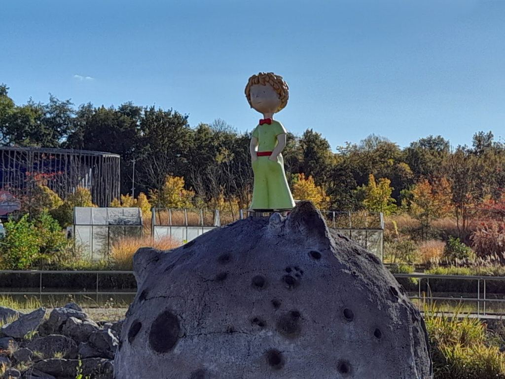 Le Parc du Petit Prince - le nid des hirondelles